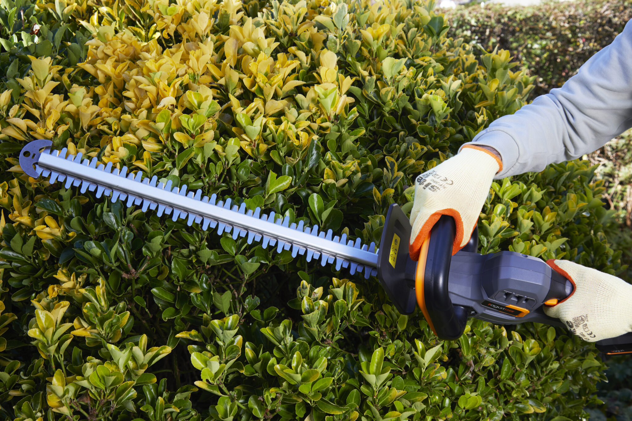 NEW Aguri Cordless Hedge Trimmer Range Launch